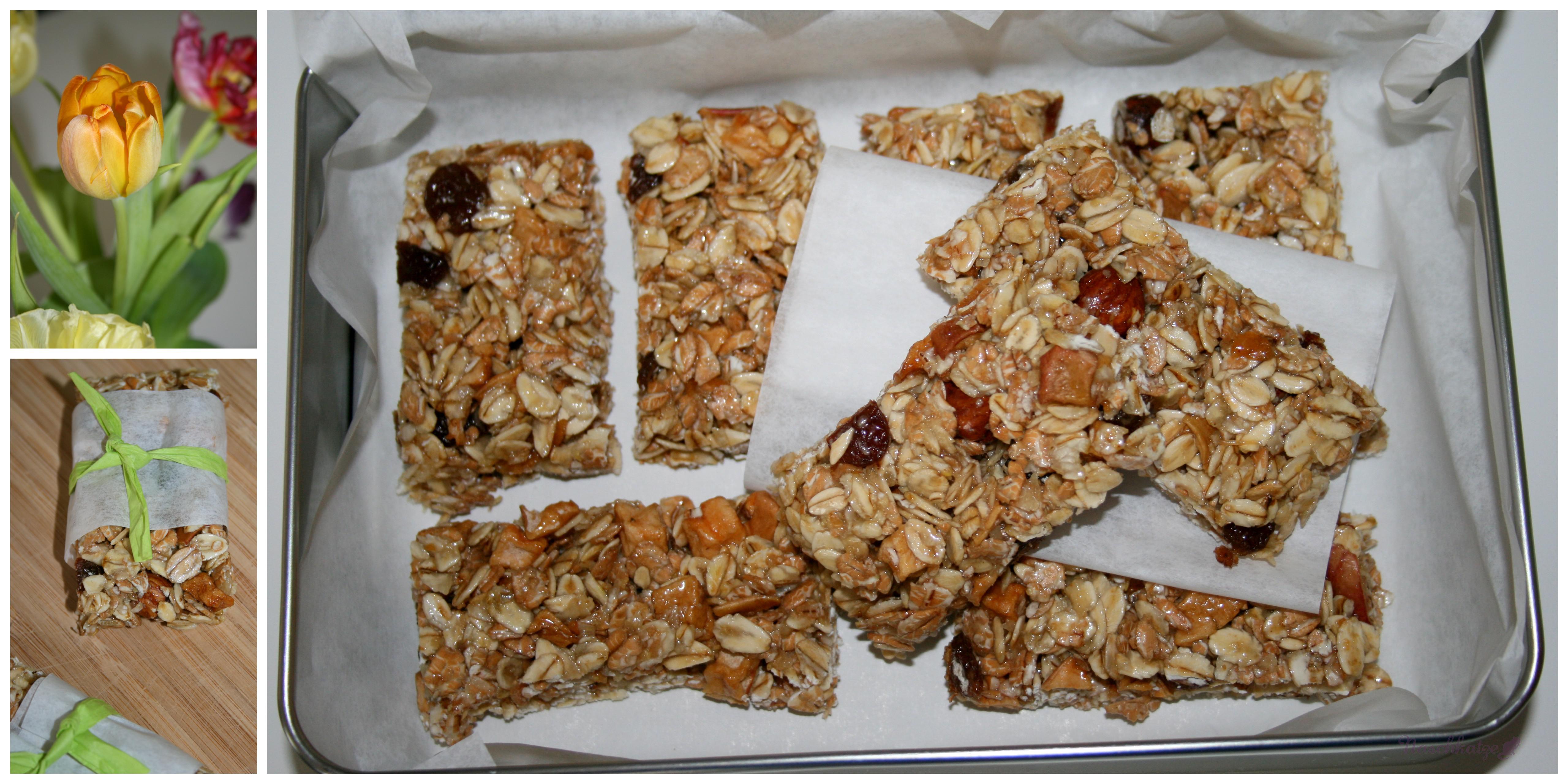 Meine Tugend aus der Not: Müsliriegel aus Bircher Mix – Naschkatze